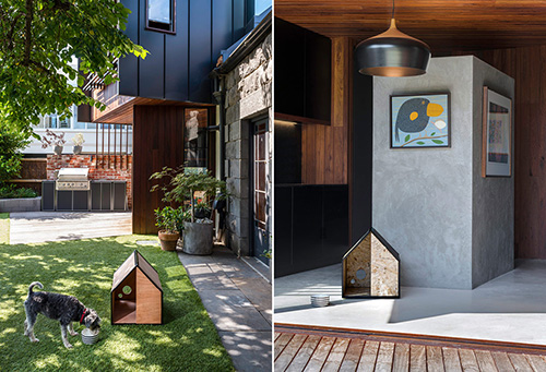 Design for pets – una Effe qualunque